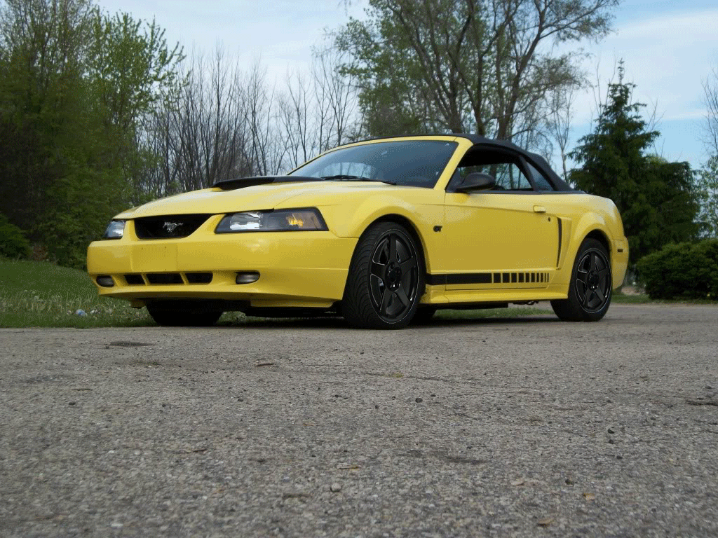 new sig please | Page 2 | Modded Mustang Forums